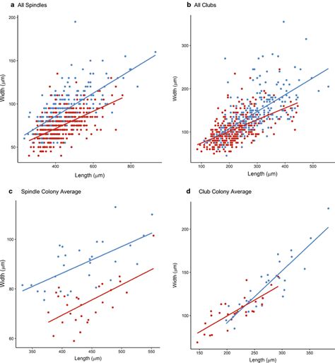 linear regressions of length and width measures of individual sclerites