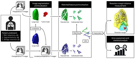 Quantification Of Resection Margin Following Sublobar Resection In Lung Cancer Patients Through