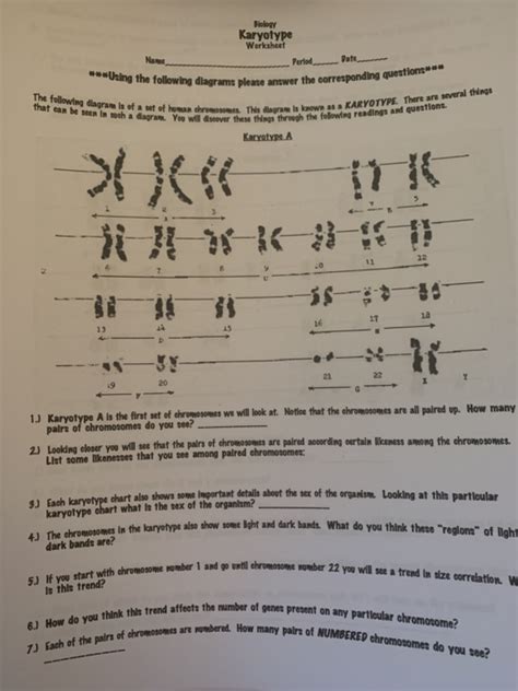 Solved Blology Karyotype Worksheet Name ~ Period Date