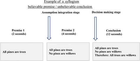 The Timing And Example Of The Experimental Design In This Experiment
