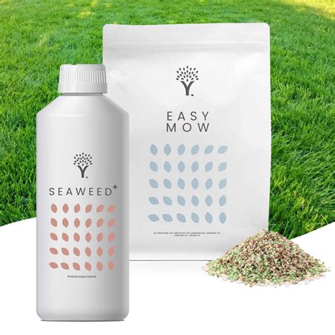 Yew Pruning Guide Tips For Shaping Yew Hedges Moowy