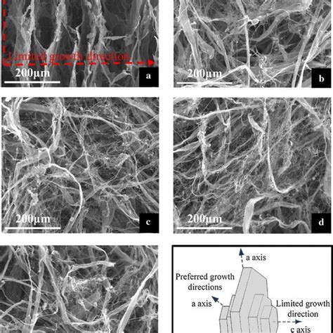 Pdf Toward High Performance Fibrillated Cellulose Based Air Filter Via Constructing Spider Web