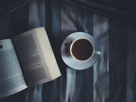 7 Books Every Net Developer Should Read In 2024 By Abnoan Muniz Net Programming Medium