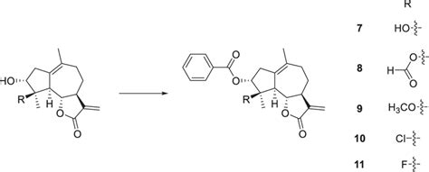 Reagents And Conditions Edc Dmap Benzoic Acid Appropriate Ludartin Download Scientific