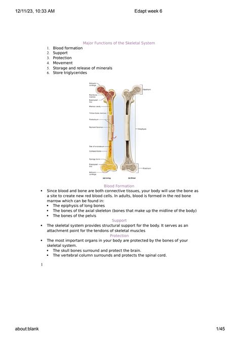 Solution Edapt Week 6 Studypool