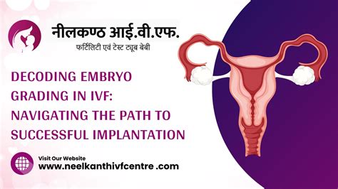 Decoding Embryo Grading In Ivf Navigating The Path To Successful Implantation Neelkanth Ivf