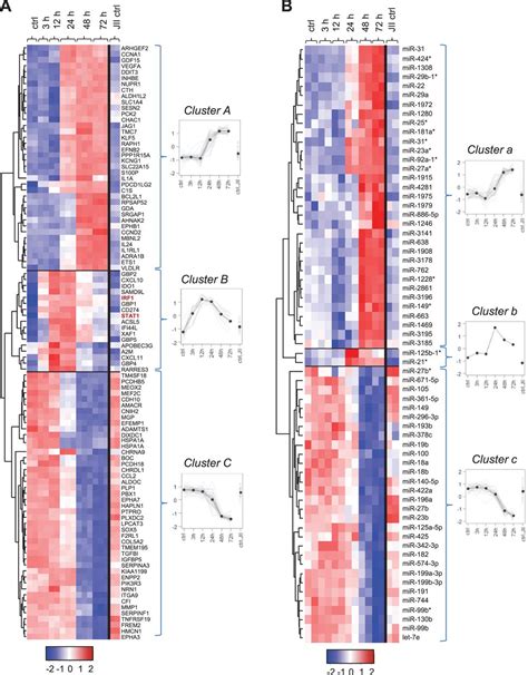 R Heatmap Of Biological Time Course Data Stack Overflow
