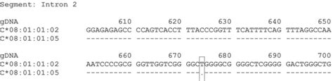 partial nucleotide sequence alignment of intron 2 of hla‐c 08 01 01 05