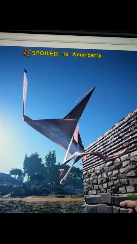 The Many Fails Of Ark Ark Survival Evolved Amino