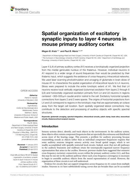 pdf spatial organization of excitatory synaptic inputs to layer 4