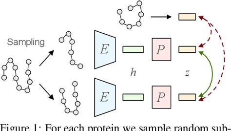 figure 1 from contrastive representation learning for 3d protein