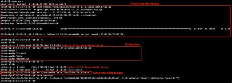 Helm Chart Tutorial A Step By Step Guide With Examples Datacamp