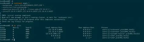 How To Deploy Secure CockroachDB Cluster On Ubuntu 20 04 Server