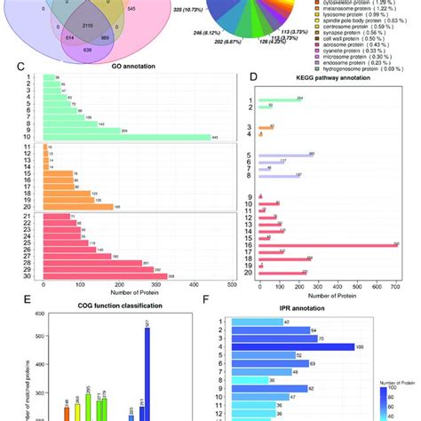 Pdf Tandem Mass Tags Quantitative Proteome Identification And Function Analysis Of Abc