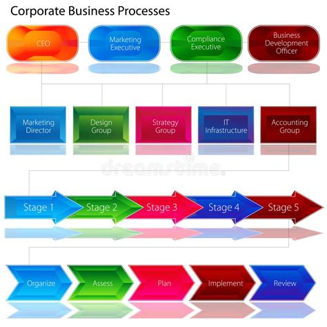 Corporate Hierarchy Structure Chart Stock Vector Illustration Of