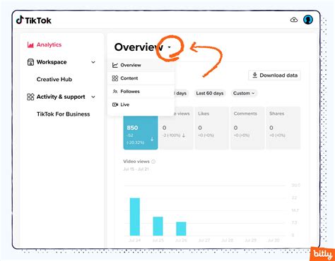 TikTok Analytics Steps Strategies Success Bitly