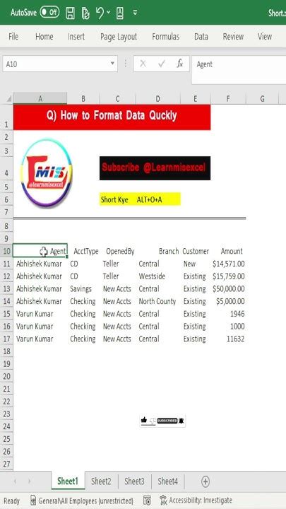 How To Use Auto Format In Excel Exceltricks Basicexcel Autoformat Trending Shorts Youtube