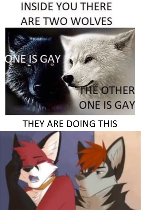Bear And Wolf Meme Template