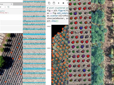 5 tutorials for crop detection and vegetation delineation with python