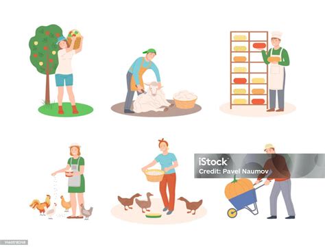 농장에서 일하는 농부들 사과를 따고 양을 깎고 치즈를 생산하고 가금류를 먹이고 호박을 수확하는 농업 노동자 만화 벡터 일러스트 레이 션 가축에 대한 스톡 벡터 아트 및 기타