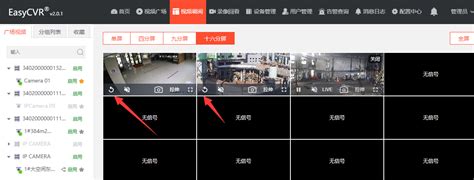 easyplayer js播放画面停止并出现回放按钮的问题排查 easyplayer禁止重播 csdn博客