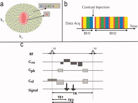 Differential Subsampling With Cartesian Ordering Disco A High Spatio‐temporal Resolution