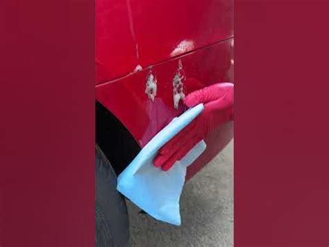 Чем убрать тополиные почки и следы помета с кузова авто - YouTube