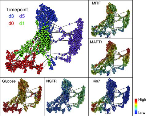 Visualization Of Single Cell Data By Flow Map Each Dot Represents An Download Scientific