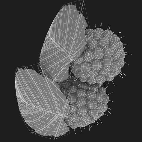 베리 과일 세트 3d 모델 79 Max Fbx Obj 3ds Free3d