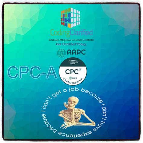 Medical Coding Career A Guide For New Cpc A Professionals