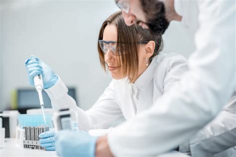 Periodical Internal Audits Execution Zamann Pharma Support Gmbh