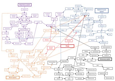Integration Concept Map Decreases Decreases Function Alleviates Drugs Hormonal Stimuli Signals