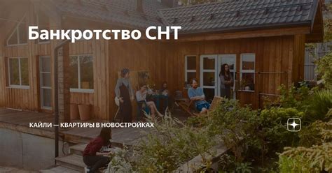 Банкротство СНТ Кайли — квартиры в новостройках Дзен