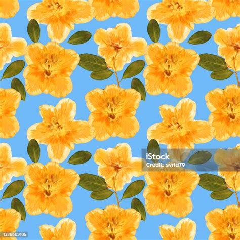 진달래 그림 꽃의 질감 연속 복제를 위한 매끄러운 패턴입니다 꽃 배경 직물 면 직물 사진 콜라주 벽지 커버 인쇄용 0명에 대한 스톡 사진 및 기타 이미지 Istock