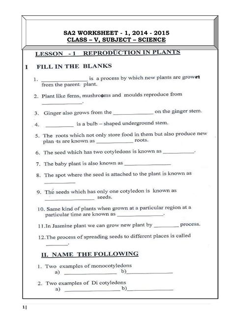 Worksheet For Class 5 Science Reproduction In Plants Assignment 3