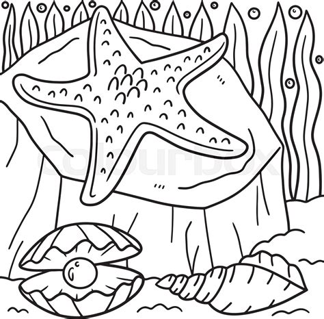 Seestern Umriss Malbuch Stock Vektor Colourbox