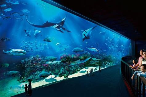 Singapore S E A Aquarium™ Entrance Ticket With Reviews