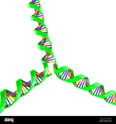 Dna Replication Fork Biotechnology Research Concept 3d Rendering