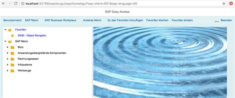 Connect To Netweaver Abap Instance Inside Docker Its Full Of Stars