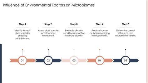 Comparitive Analysis Root Microbiome Soil Root Ppt Slides Acp Ppt Template
