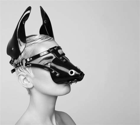 Mouse Dog Or Pony Pic