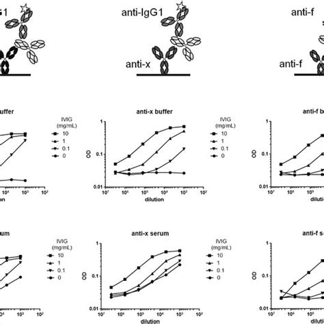 Allotypes In Human Igg1 A Position Of Individual Allotypes G1mz