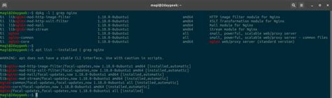 Difference Between Apt And Apt Get Command 2daygeek