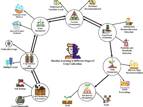 machine learning based optimal crop selection system in smart