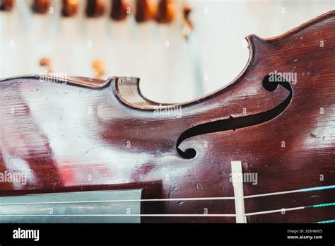 Dark Wood Cello Placed On Counter Against Wall With Assorted Acoustic