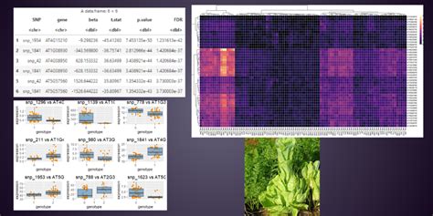 GitHub Miggyboy Final Year Project My Final Year Natural Sciences Interdisciplinary Project