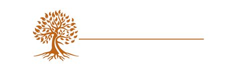 Dns Executors Logo Design Behance