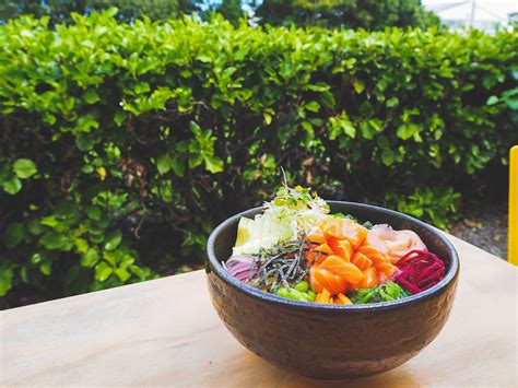 Japanese Food 9 Bowls Auckland