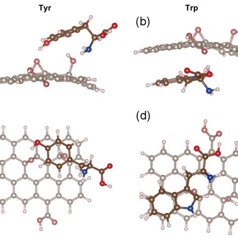 Color Online Fluorescence Quenching Of Tyr Trp Or Both Tyr And Trp