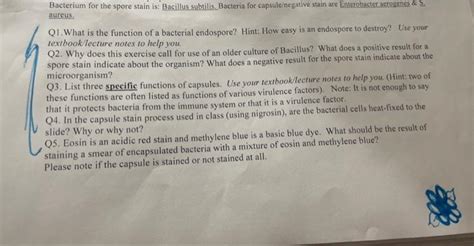 [solved] Need Help With Question 2 4 5 Bacterium For The S